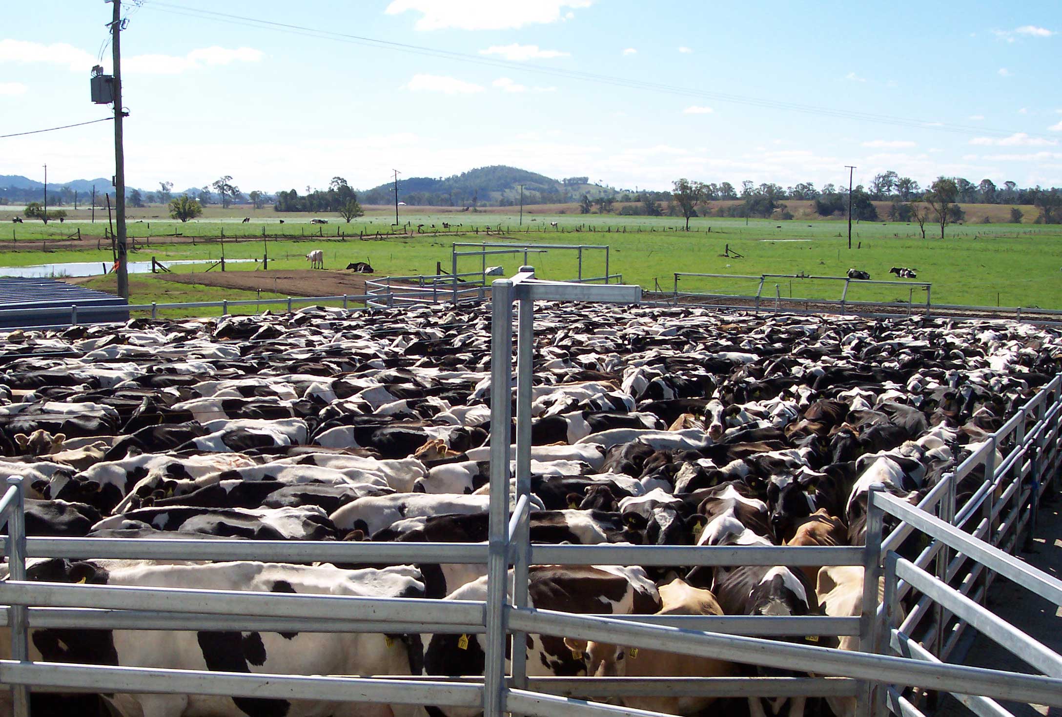 Contact | Dairy Express